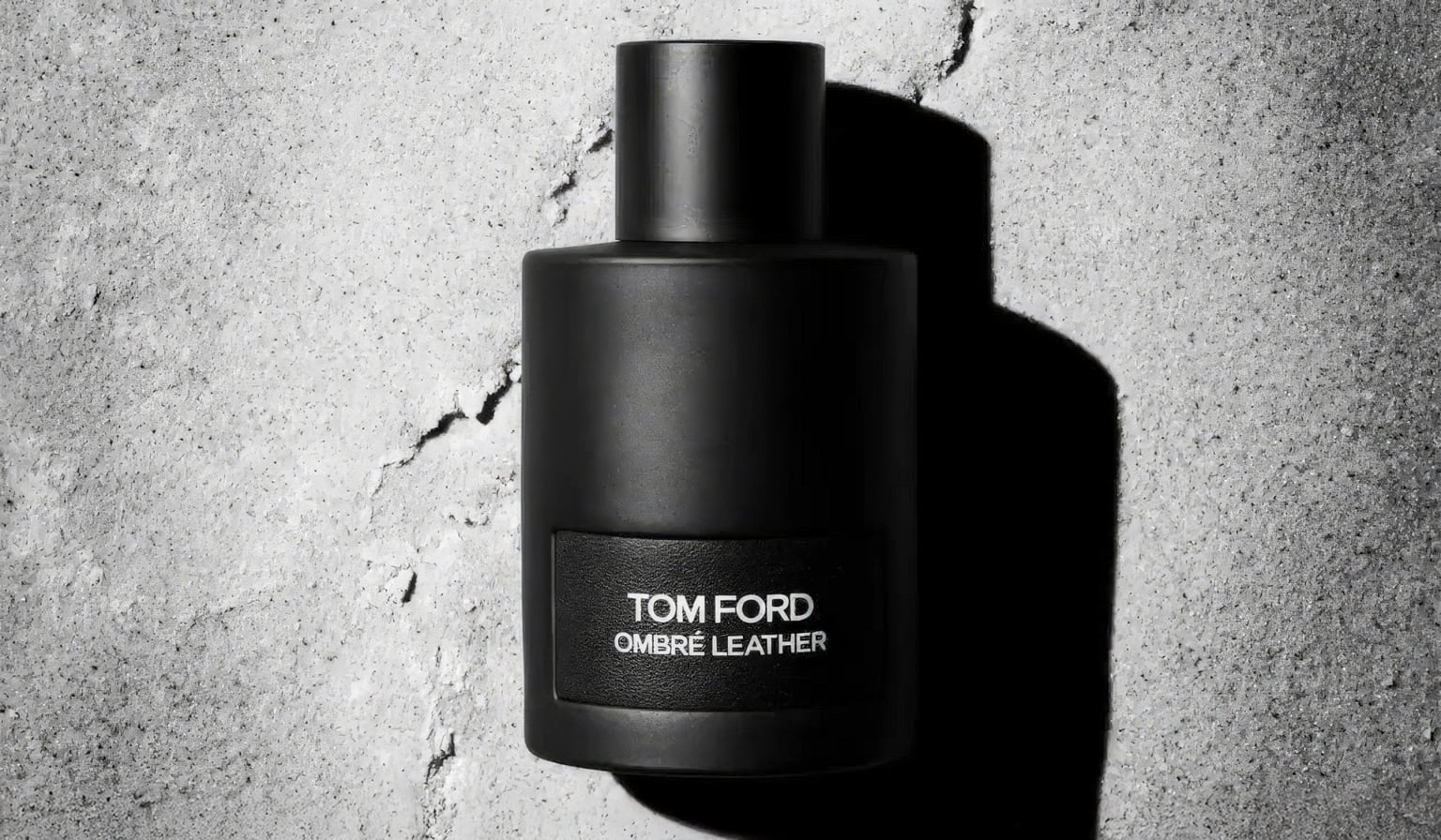 The 10 Best Men's Fall Colognes Of All Time