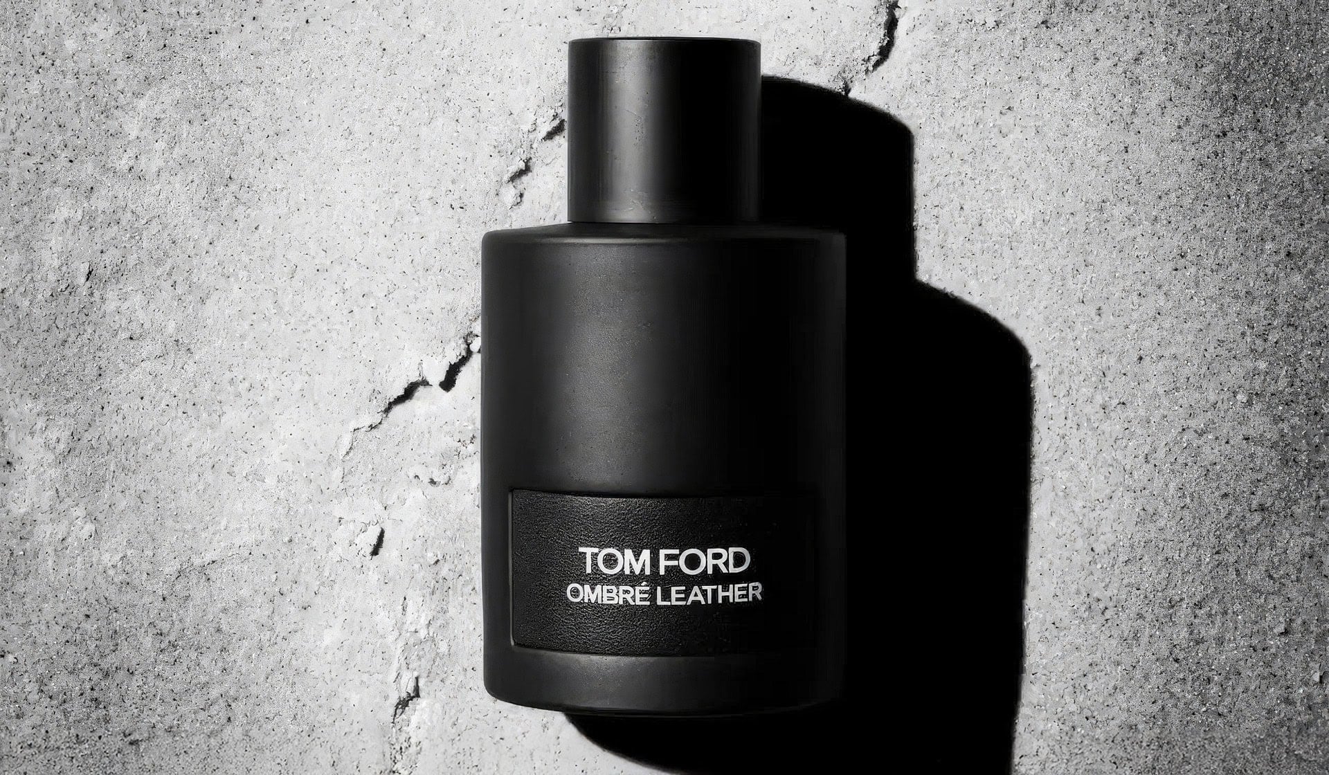 The 10 Best Men's Fall Colognes Of All Time
