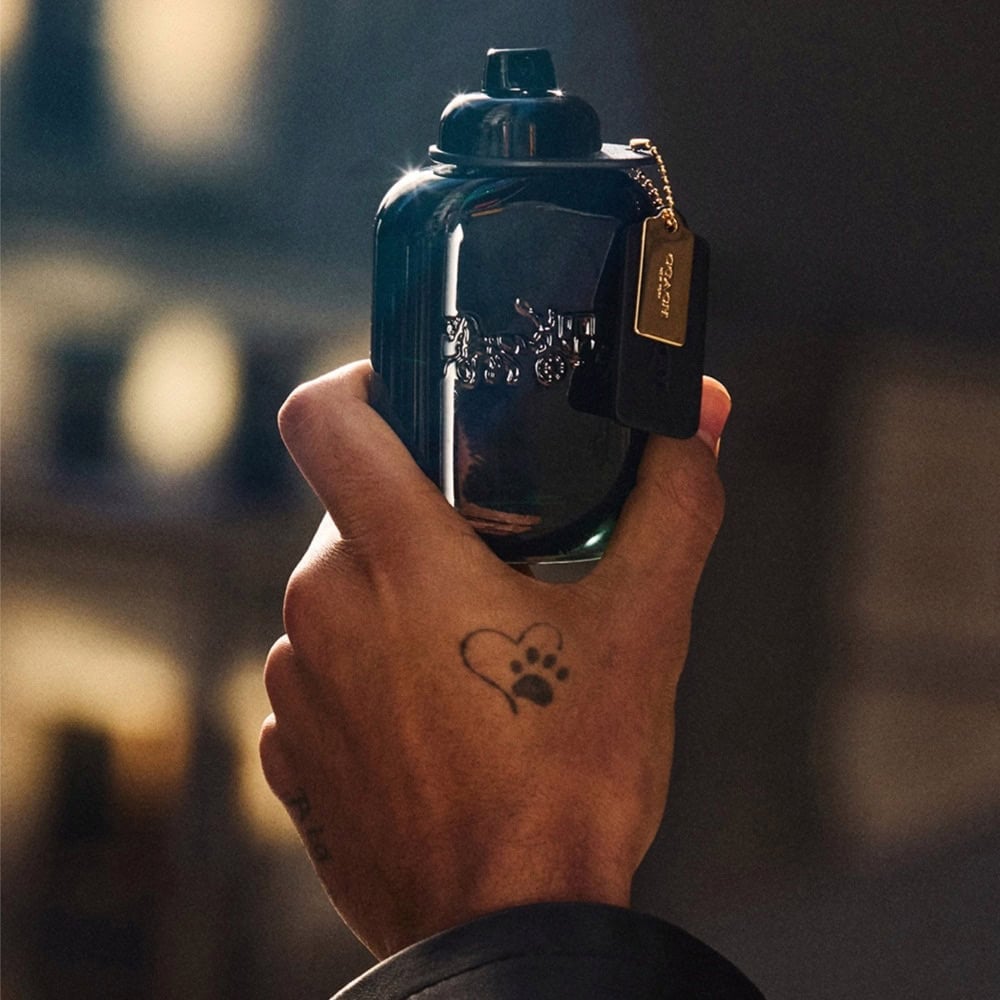 10 Cheap Fall Colognes for Men That Smell Expensive